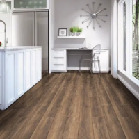 Parkay Floors XPS Mega Sound Waterproof Vinyl Floors by Hurst Hardwoods